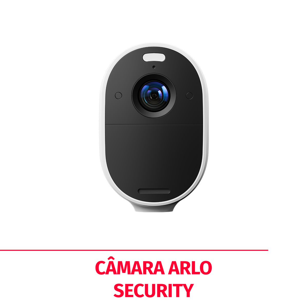 Câmaras de vigilância | Securitas Direct